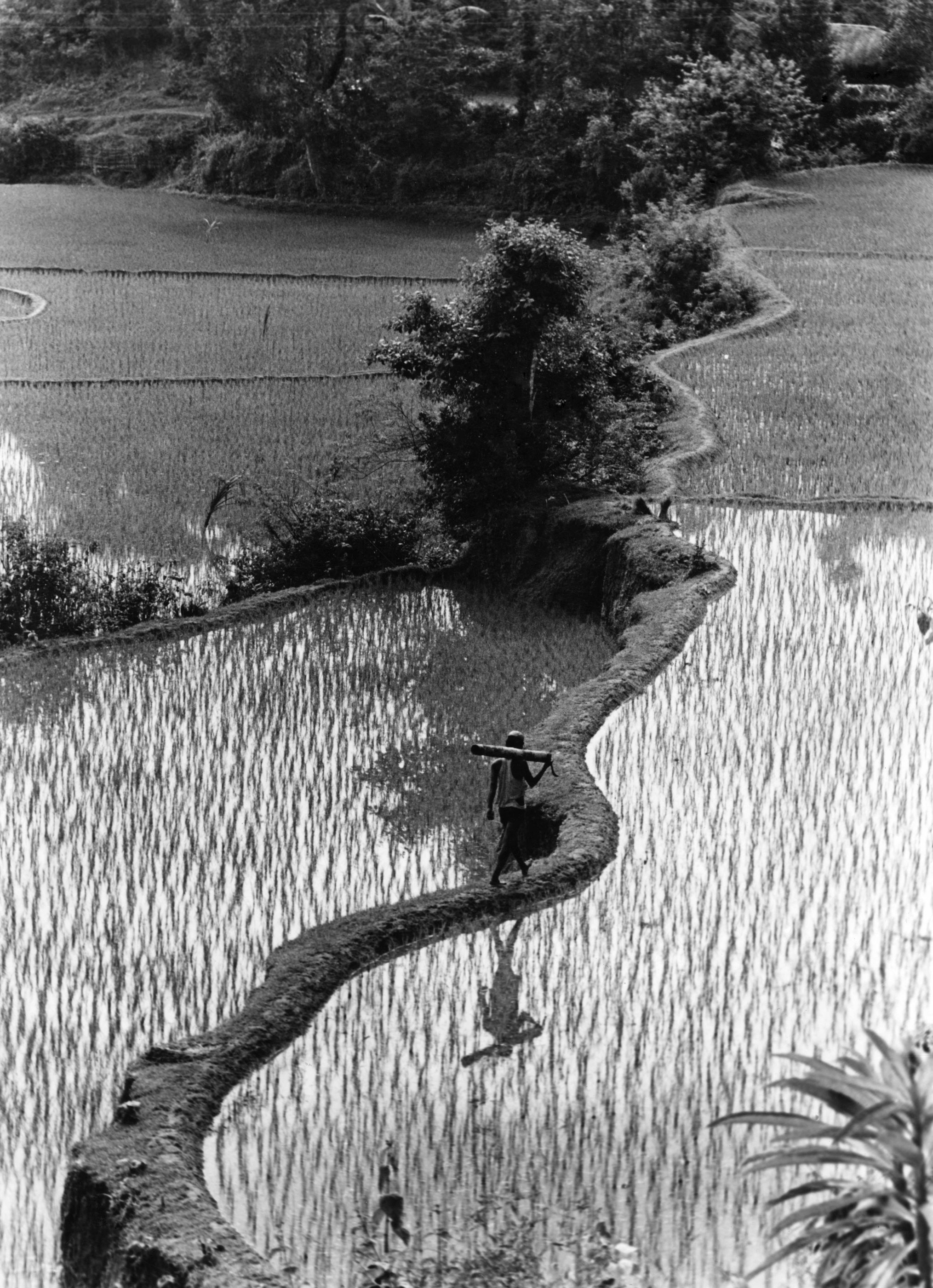 EDITIONS 24-Hour Auction -May 18-19, 2011 -Lot 43 -T S Satyan