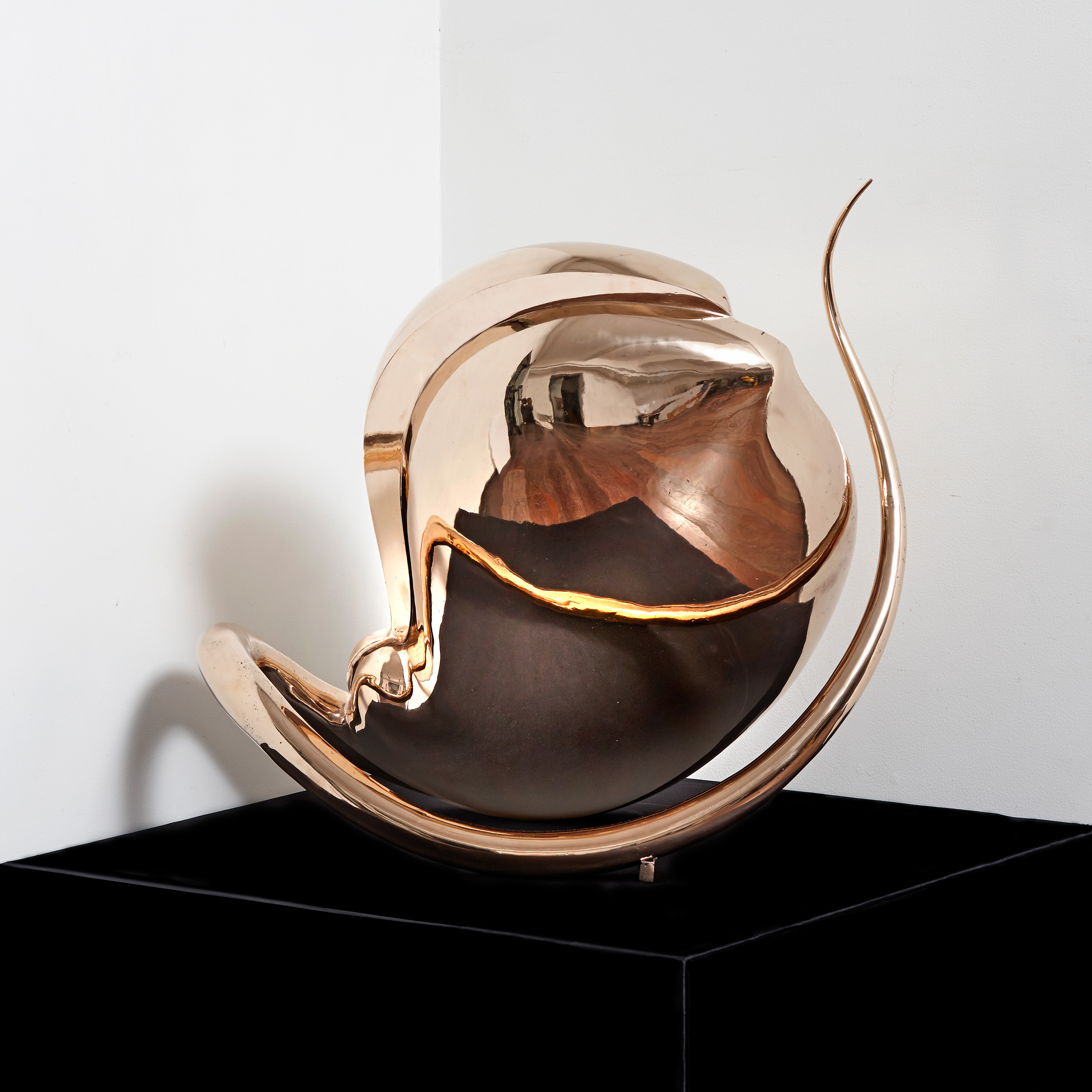 ALIVE Contemporary Day Sale | Mumbai, Live -Feb-15, 2014 -Lot 17 -Sunil ...