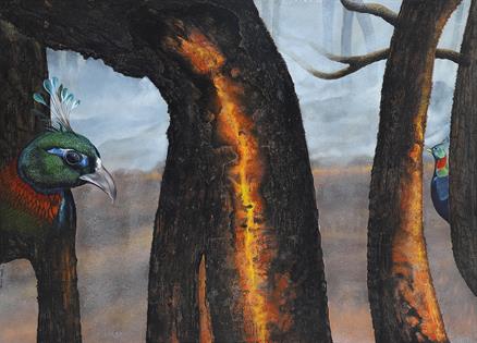 SAMBIT PANDA - Untitled @ | StoryLTD