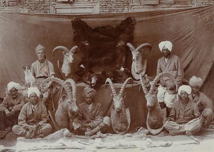 VARIOUS PHOTOGRAPHERS - HUNTING / SHIKAR, INDIA [SET OF 9] @ | StoryLTD