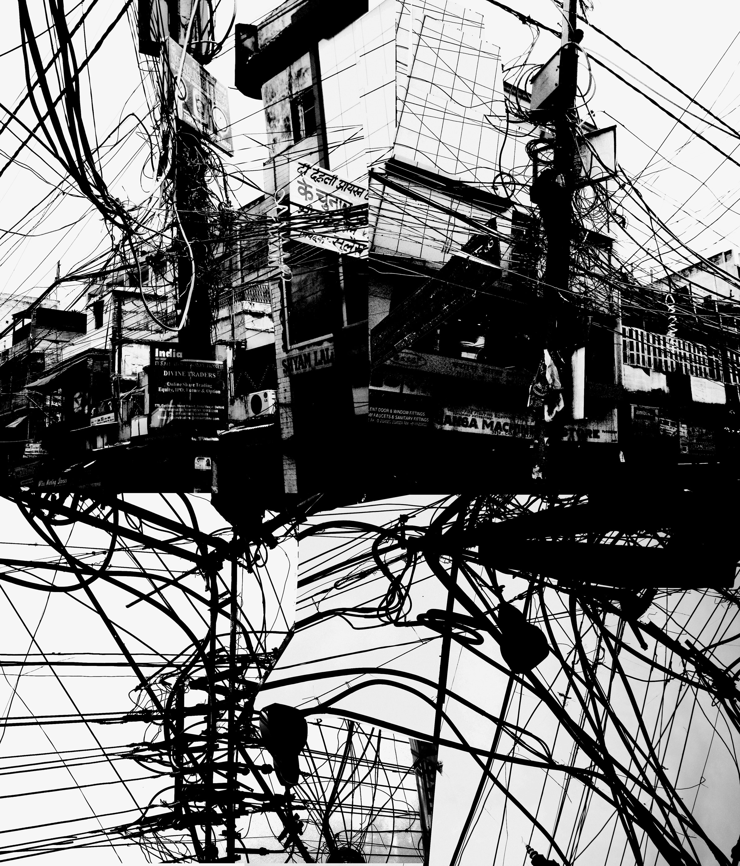 Exhibitions - Details - Saffronart :: Rachel Immanuel : Veins 2008