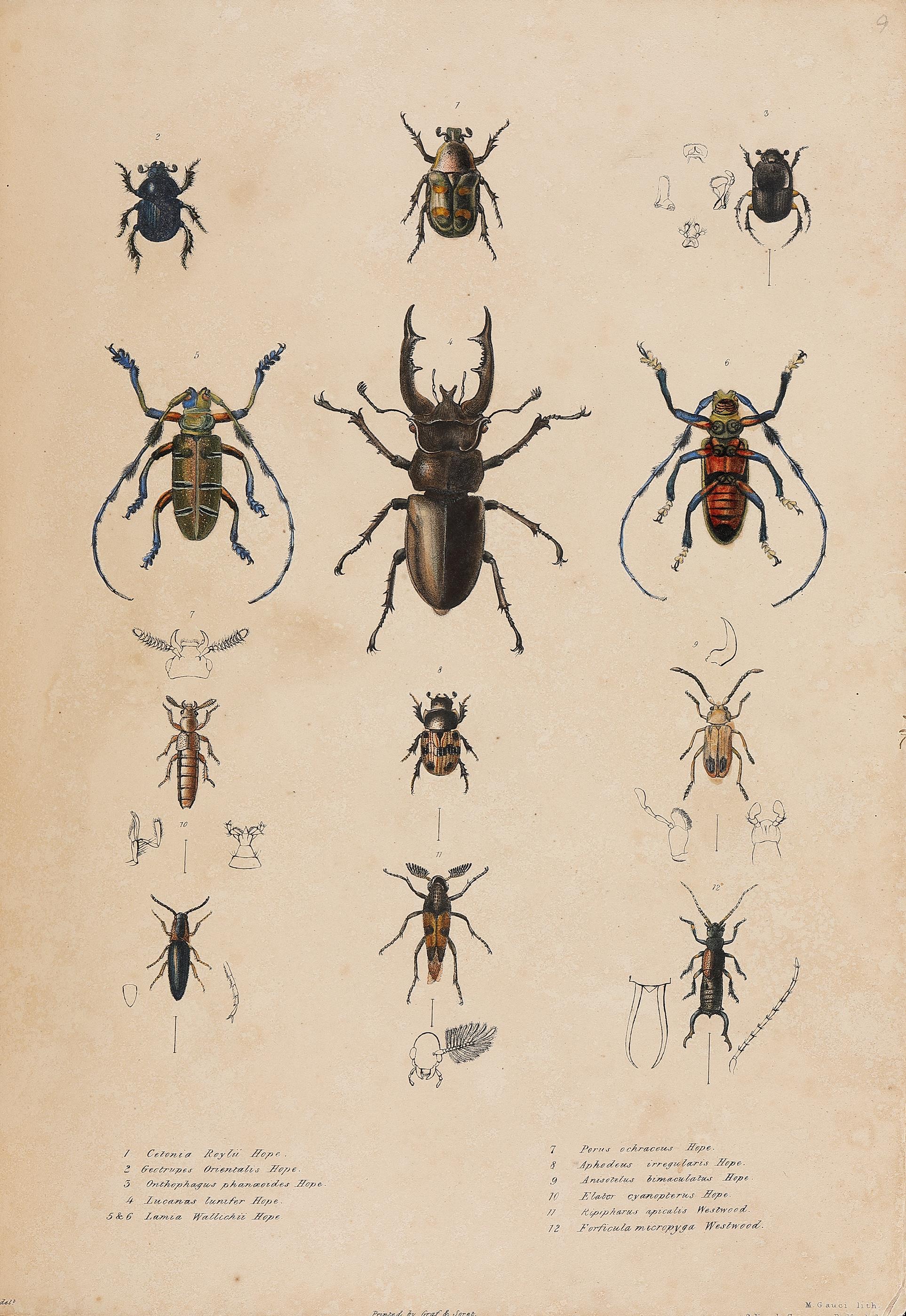 Antiquarian Books: In Pursuit Of The Picturesque -May 4-5, 2022 -Lot 64 ...