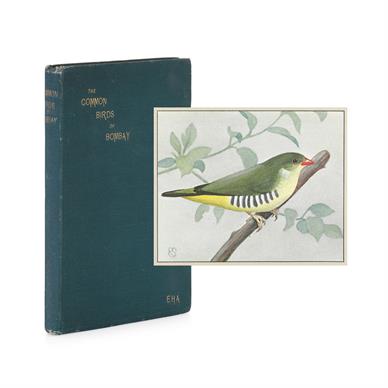 Edward Hamilton Aitken - The Common Birds of Bombay @ | StoryLTD